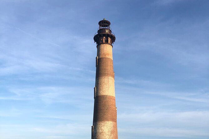 Dolphin Boat Tour from Folly Beach to Morris Island - What People Are Saying