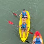 Dolphin Kayak Tour in Virginia Beach Must know how to swim - Is This Tour Right for You?