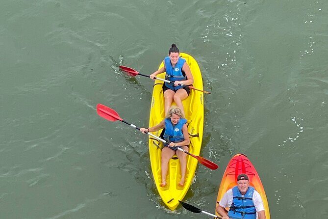 Dolphin Kayak Tour in Virginia Beach Must know how to swim - Is This Tour Right for You?