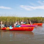 Dolphin Kayak Tour on Folly Beach - The Sum Up