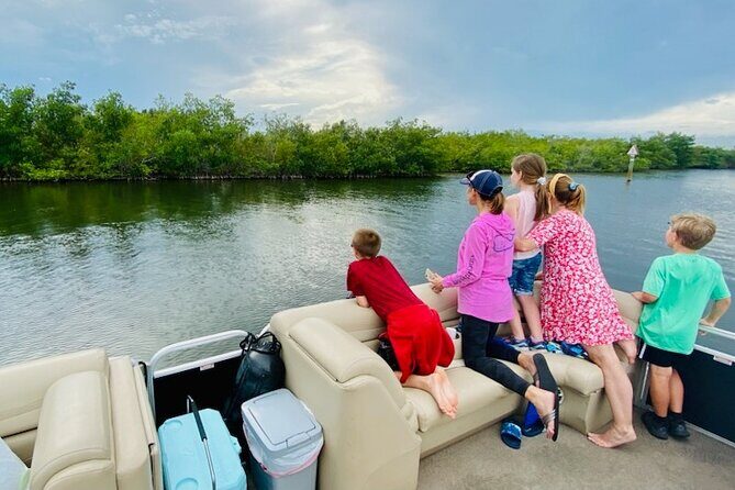 Dolphin/Manatee Pontoon Boat Tour with Local Expert - The Itinerary: What to Expect