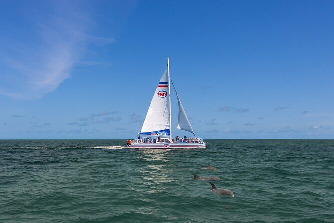 Dolphin Watch & Harbor Tour in Historical St. Augustine - Practical Tips for Travelers