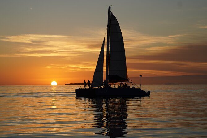 Dolphin Watch + Sunset Sail with Honest Eco - Food and Drinks