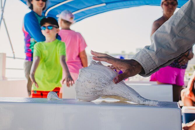 Dolphin Wildlife Cruise Fort Myers Beach - The Itinerary: What to Expect?