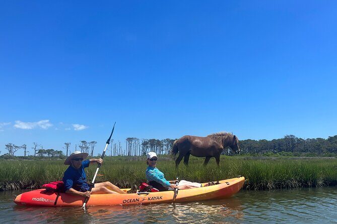 Double Sit on Top Kayak Rental at Assateague Island, MD - Who Should Consider Other Options?