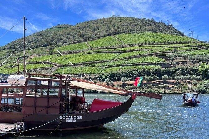 Douro Valley Tour - 3 Wine tastings, Lunch & river Cruise - Who Will Love This Tour?