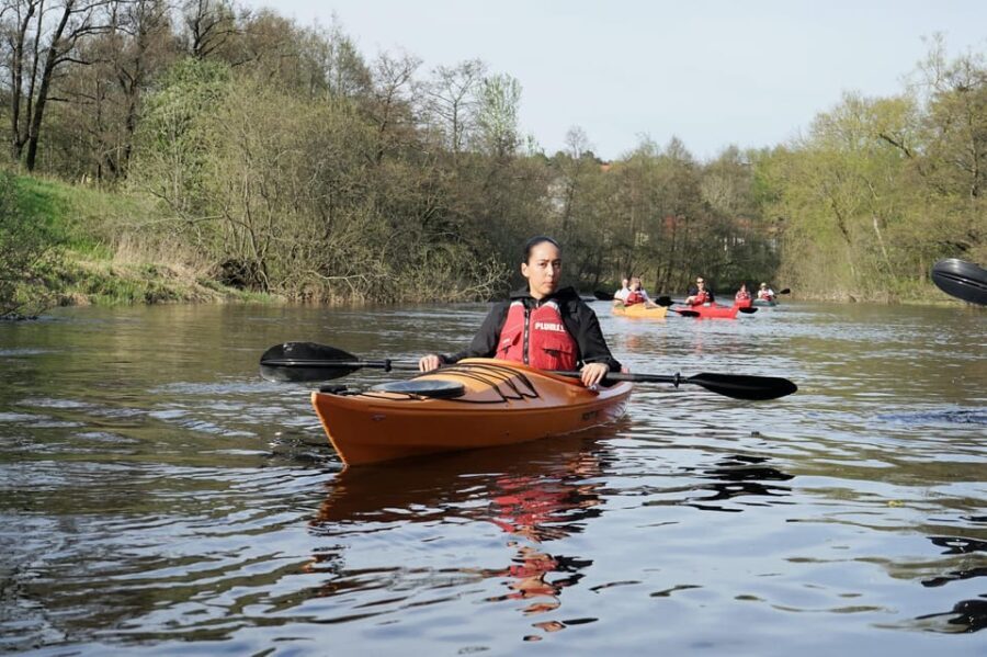 Downstream Säveån Kayak - Final Thoughts: Who This Trip Is Perfect For