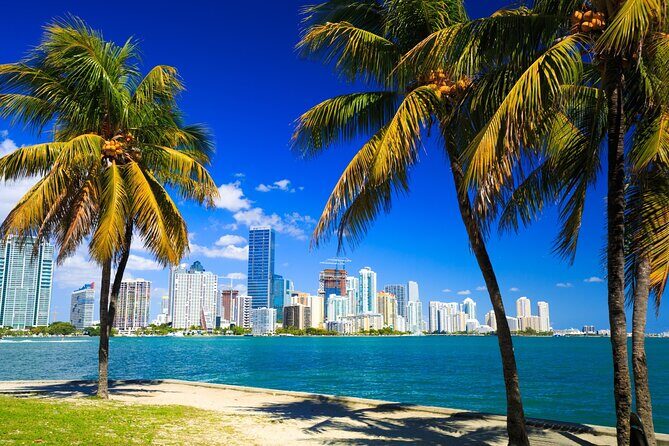 Downtown Miami Tour with Millionaires Row Cruise Tickets - Price and Value Consideration