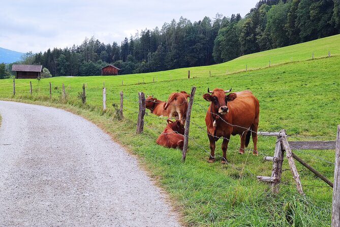 Dragon Slayer Way Beer Hike Food Experience Private Tour (departs Munich) - Why Choose This Tour?