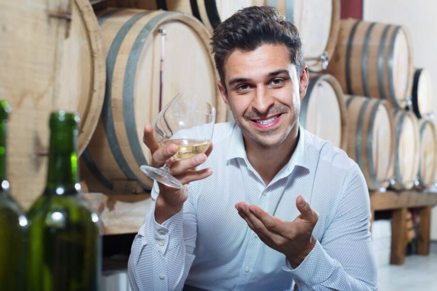 Dublin City and Temple Bar Tour with Irish Whiskey Museum - Who Will Love This Tour?