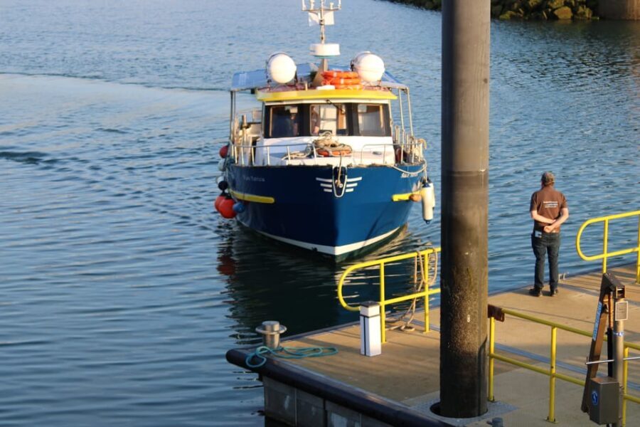 Dublin: Howth Cliffs and Lighthouse Boat Tour - The Itinerary: What You’ll See and Experience
