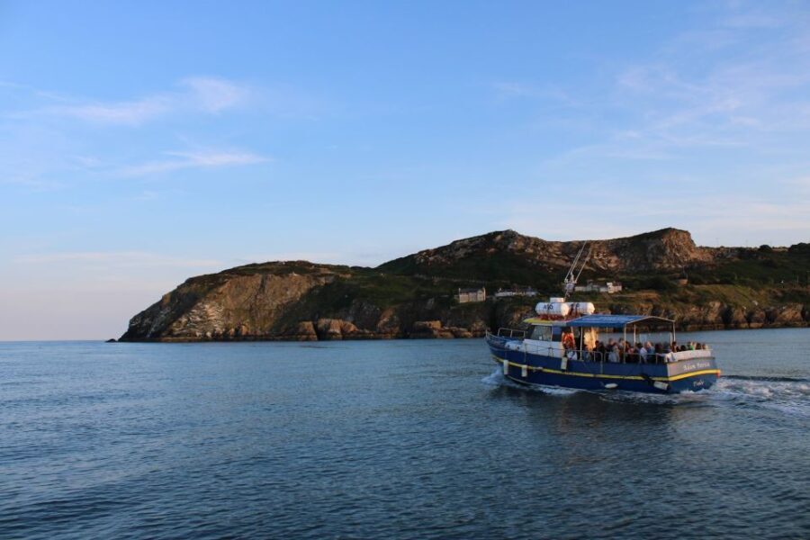 Dublin: Howth Cliffs and Lighthouse Cruise - Analyzing the Value