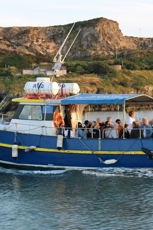 Dublin: Howth Coast and Ireland's Eye Boat Tour - What to Expect During Your Cruise