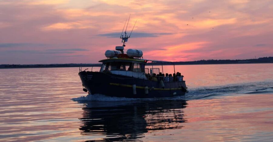 Dublin: Sunset Cruise in Howth - Key Points