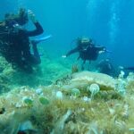 Dubrovnik: 1-Day Discover Scuba Diving Course - Final Thoughts: Is It Worth It?