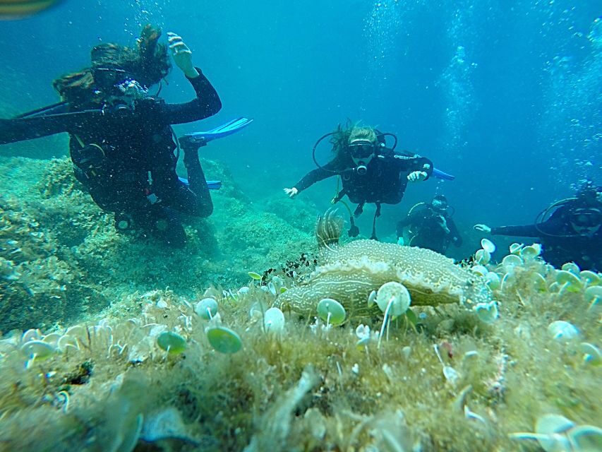 Dubrovnik: 1-Day Discover Scuba Diving Course - Final Thoughts: Is It Worth It?