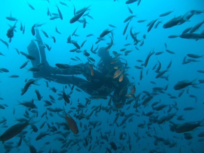 Dubrovnik: 1-Day Diving Package - The Itinerary: What to Expect