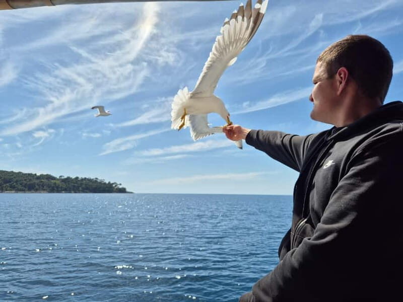 Dubrovnik: 3 Island Boat Tour with Lunch and Guide - The Value Proposition: Is It Worth It?