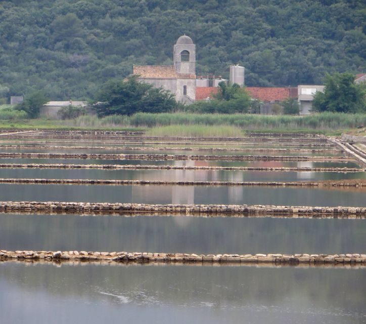 Dubrovnik: Day Trip to 3 Peljesac Wineries with Tastings - The Authenticity and Expert Guidance