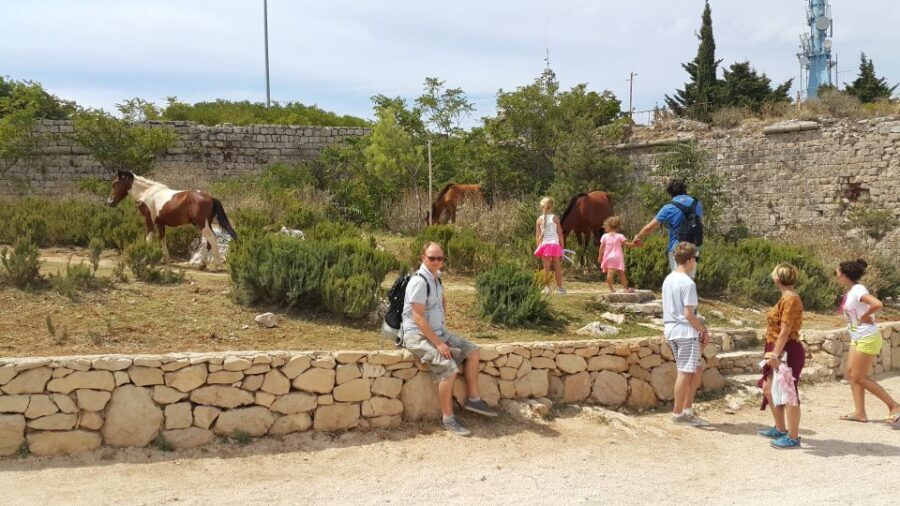 Dubrovnik: Game of Thrones Locations Driving Tour - Authentic Traveler Feedback