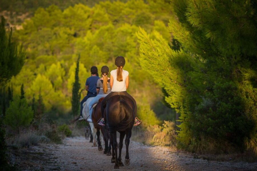 Dubrovnik Kojan Koral: Horseback Riding - Exploring the Konavle Valley on Horseback