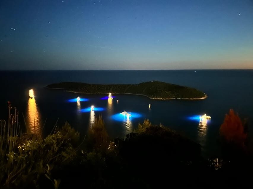 Dubrovnik Night Drive: Lights of the Adriatic - Who Would Enjoy This Tour?