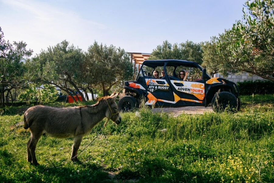 Dubrovnik: Private Buggy Safari Guided Tour (3 hours) - The Sum Up