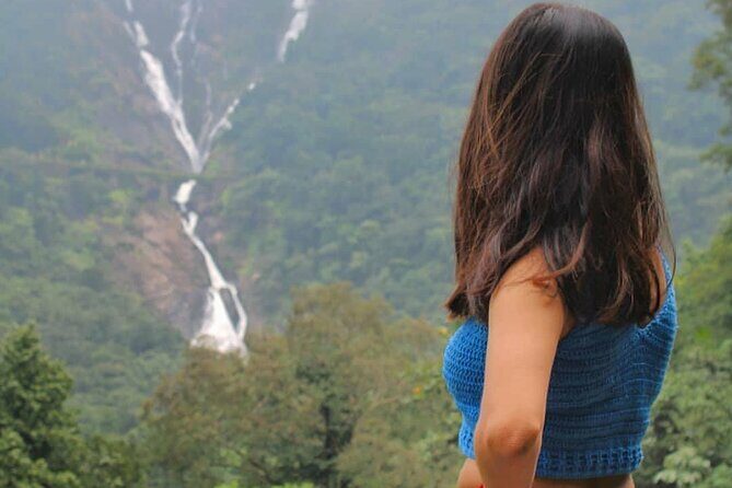 Dudhsagar Waterfalls, Jeep Safari & Spice Plantation private tour - How This Tour Offers Value