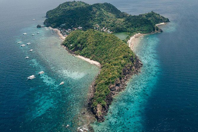 Dumaguete Apo Island Snorkeling Tour - The Lunch and Afternoon Options