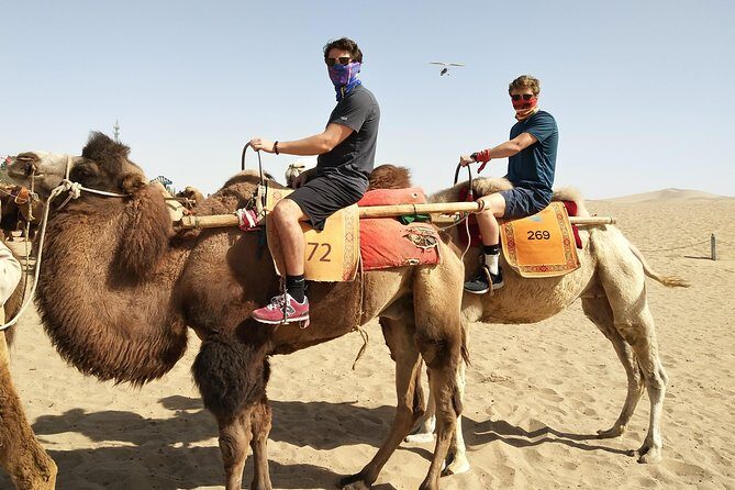 Dunhuang Private Camel Riding in the Gobi Desert - What Makes This Tour Stand Out?