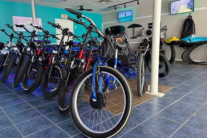 E-Bike Rental Adventure Siesta Key Florida - The Sum Up