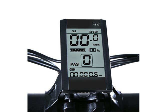 E-Bike Rentals in NYC - Navigating the City on an E-Bike