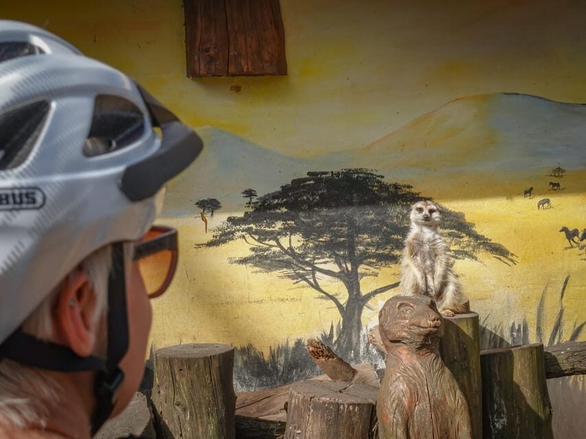 E-Mountain Bike Adventure in the Danube Bend - What You’ll Love About This Tour