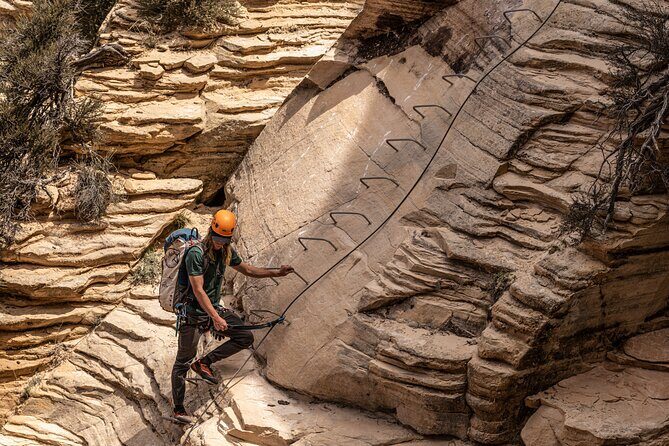 East Zion Elk Heart Cliffs Via Ferrata and Rappelling (3Hr) - What Makes This Tour Stand Out