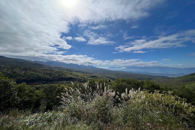 Ebike Tour in Lake Shirakaba and Tateshina Highland Japan - What the Tour Entails