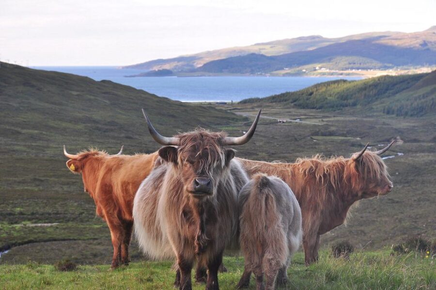 Edinburgh: 2-Day Loch Ness, Glencoe & Highlands Tour - The Transport and Guide Experience