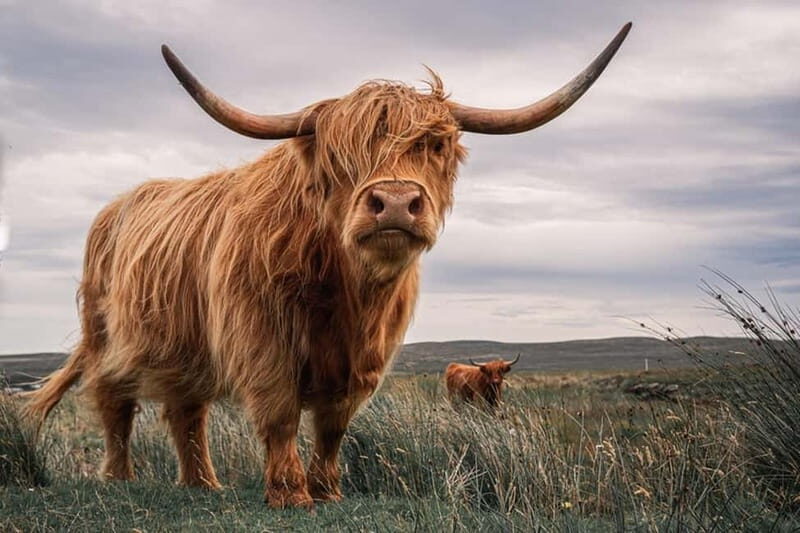 Edinburgh: Loch Ness, Inverness & Highlands Tour in Spanish - The Itinerary Breakdown