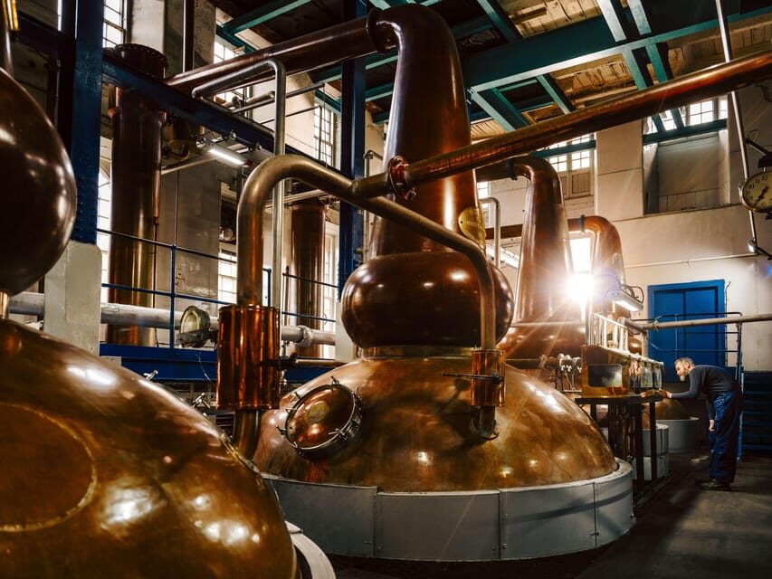 Edinburgh to Scottish Highlands: Whisky, Views & Hairy Coos - Who Should Take This Tour?