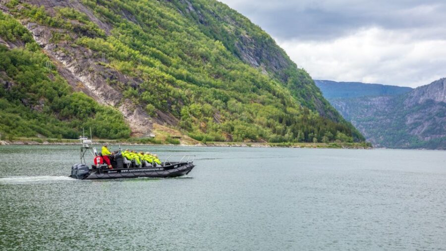 Eidfjord: 1-Hour Fjord RIB Tour - Who Will Love This Tour?