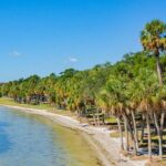 Electric Bike Rental - Riding Through Sarasota and Beyond