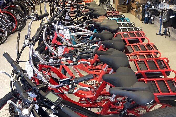 Electric Bikes Rental in Dunedin - Who Will Love This Experience?
