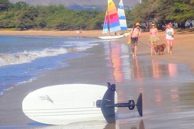 Electric Foilboard rides/lessons/sessions at Sugar Beach, Maui - Experience Quality and Instructor Expertise