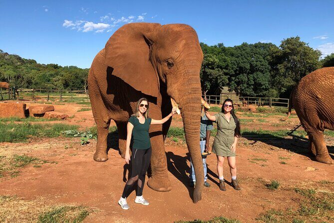 Elephant & Monkey Sanctuary Tour from Johannesburg - What Makes This Tour Valuable?