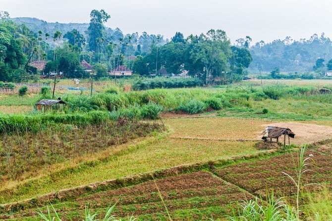 Ella Village Tour with Local - The Value of This Tour