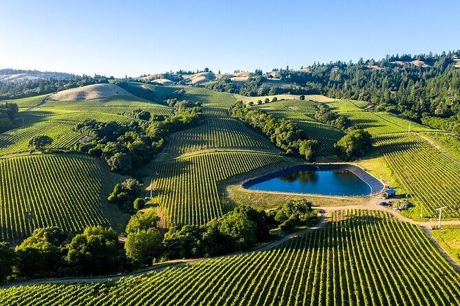 Enchanted Napa & Sonoma Wine Tour from San Jose - Final Thoughts: Is It Worth It?
