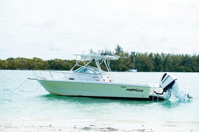 Enjoy Miami aboard our Proline 24ft - Practical Details for Your Trip