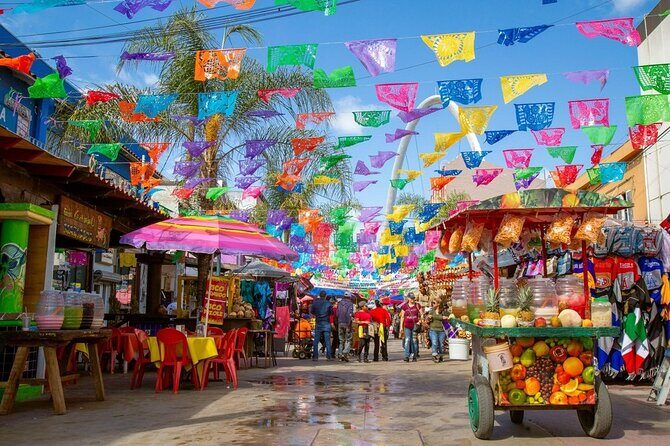 Ensenada Baja Mexico Sightseeing Tour from San Diego - Summing Up: Who’s This Tour Best For?