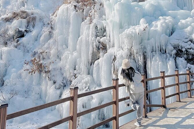 Eobi Ice Valley Nami Island and Alpaca World Tour from Seoul - Who Should Consider This Tour?