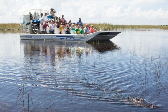 Everglades Admission Ticket with Airboat Ride and Wildlife Show - What the Reviews Tell Us