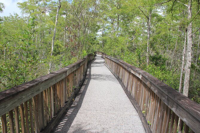 Everglades Day Safari from Miami - Final Thoughts